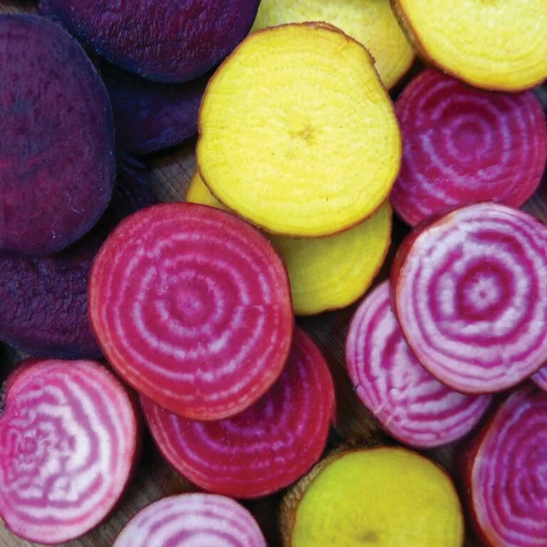 Beet Rainbow Blend OSC Seeds – Garden Girl