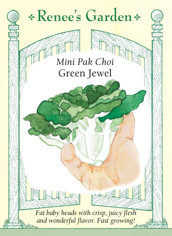 Pak Choi Mini Green Jewel – Garden Girl