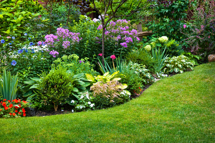Garden Girl | Heirloom Seeds | Garden Seeds | Organic Seed