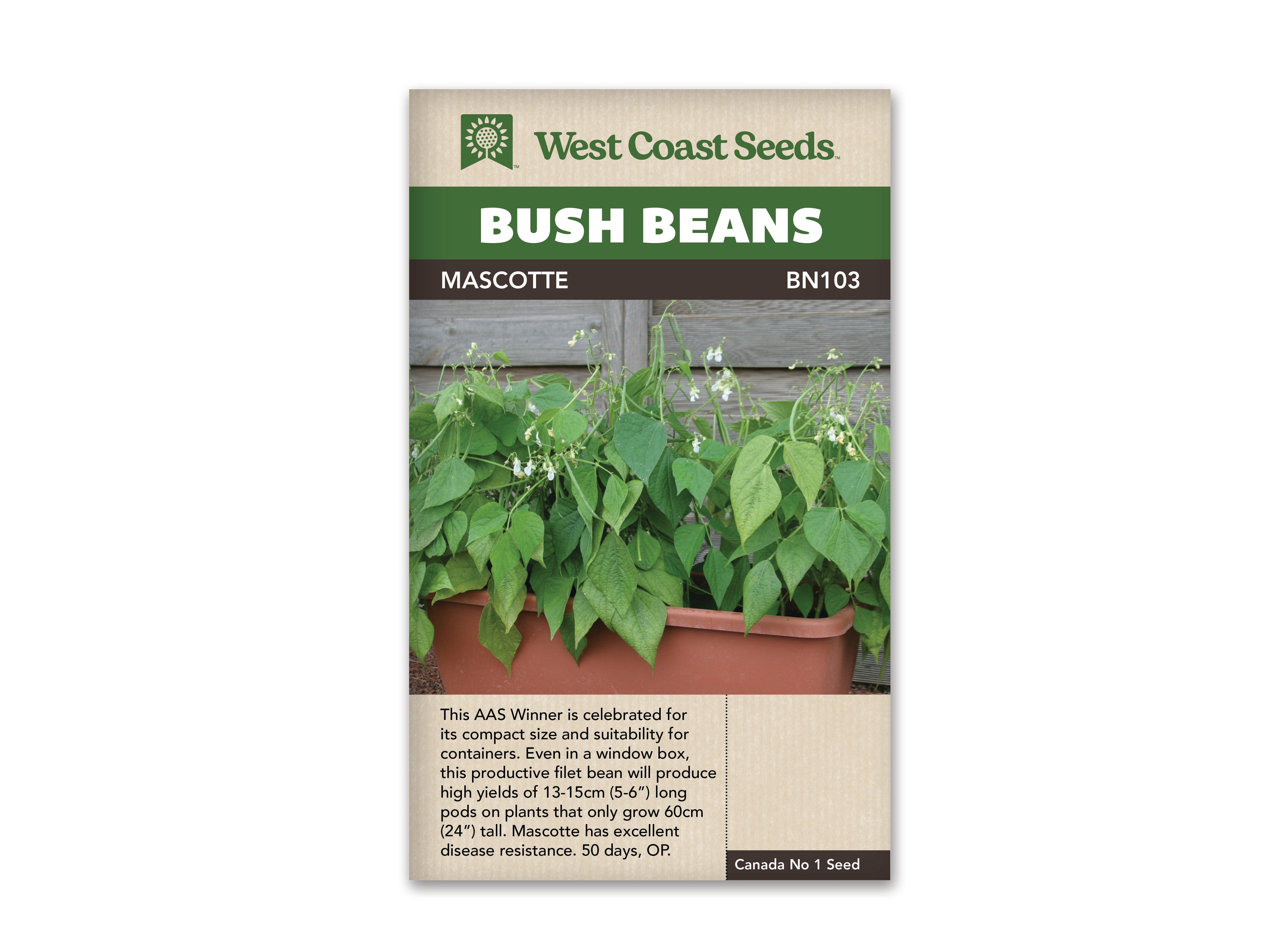 Bean Bush Mascotte WCS Seed – Garden Girl