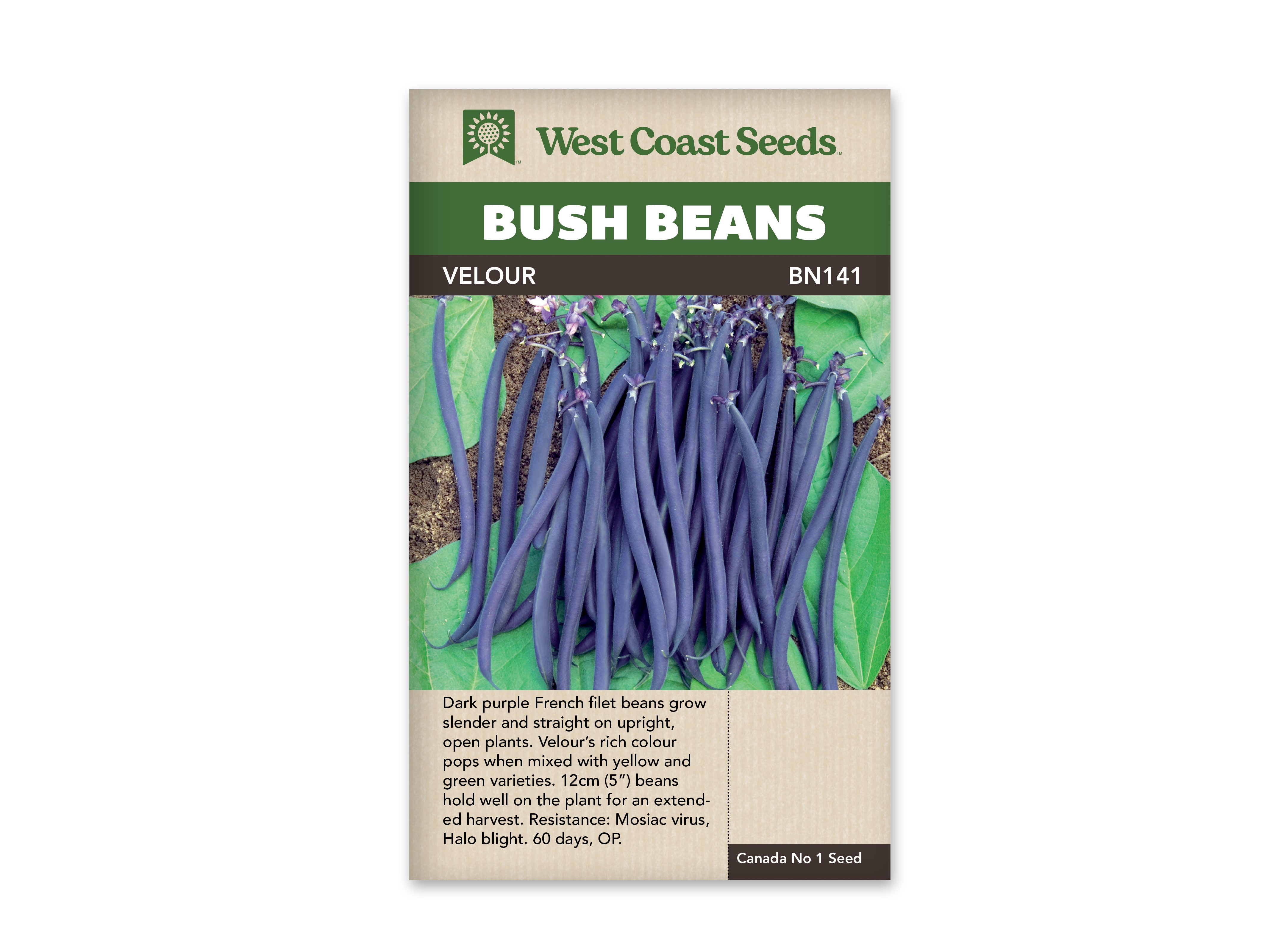 Bean Bush Velour WCS Seed – Garden Girl