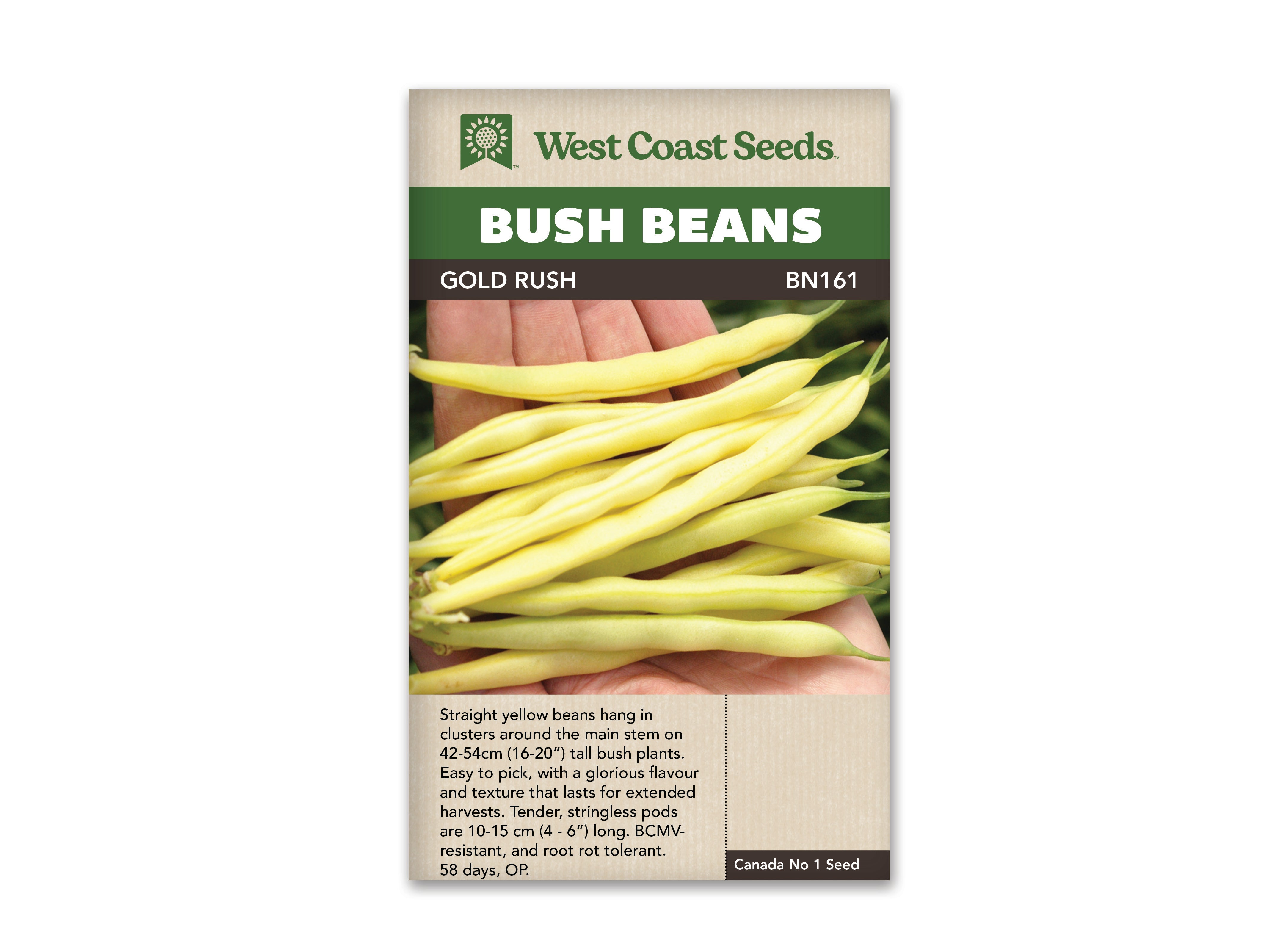 Bean Bush Gold Rush WCS Seed – Garden Girl