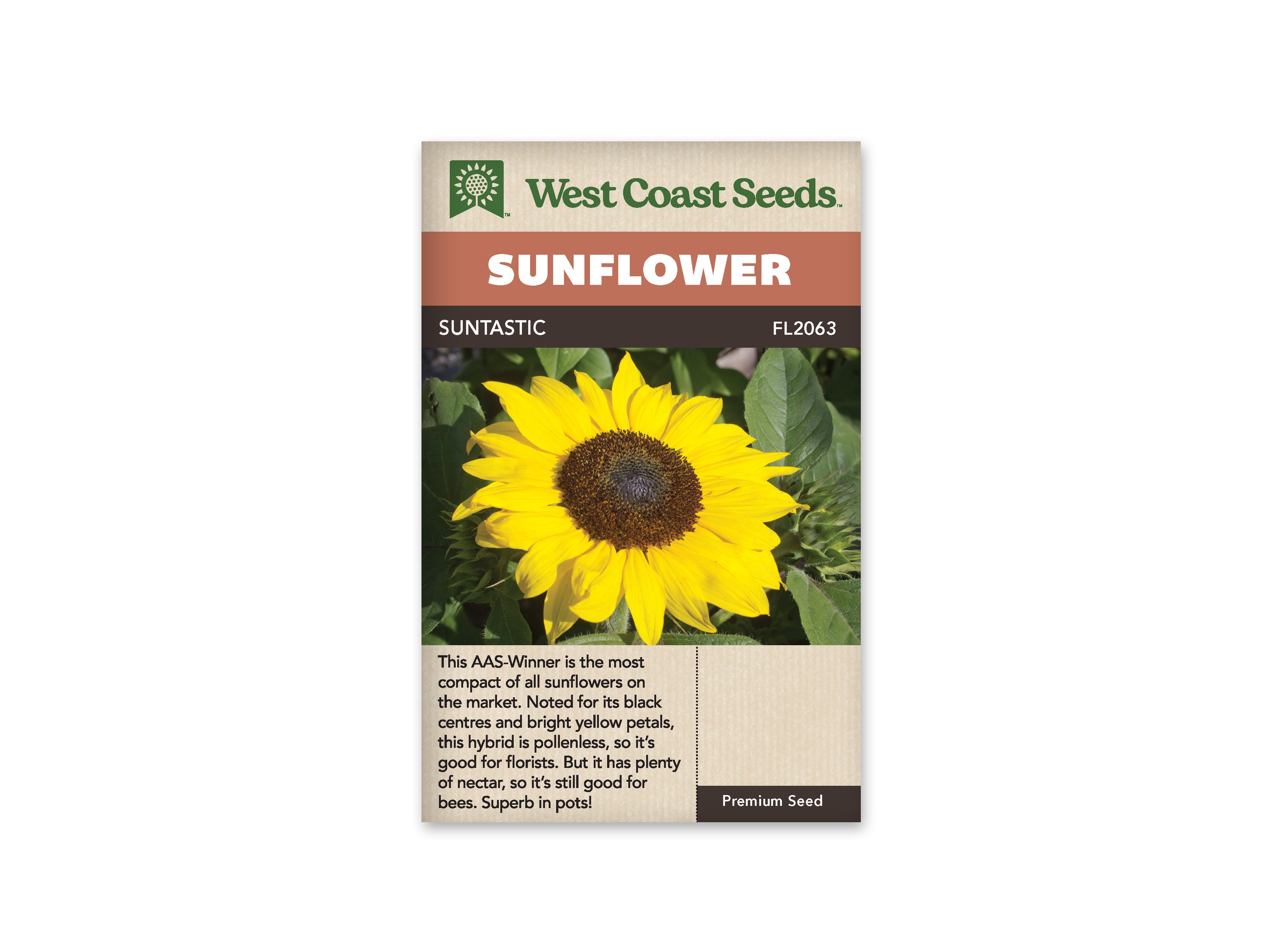 Sunflowers Suntastic WCS Seeds – Garden Girl