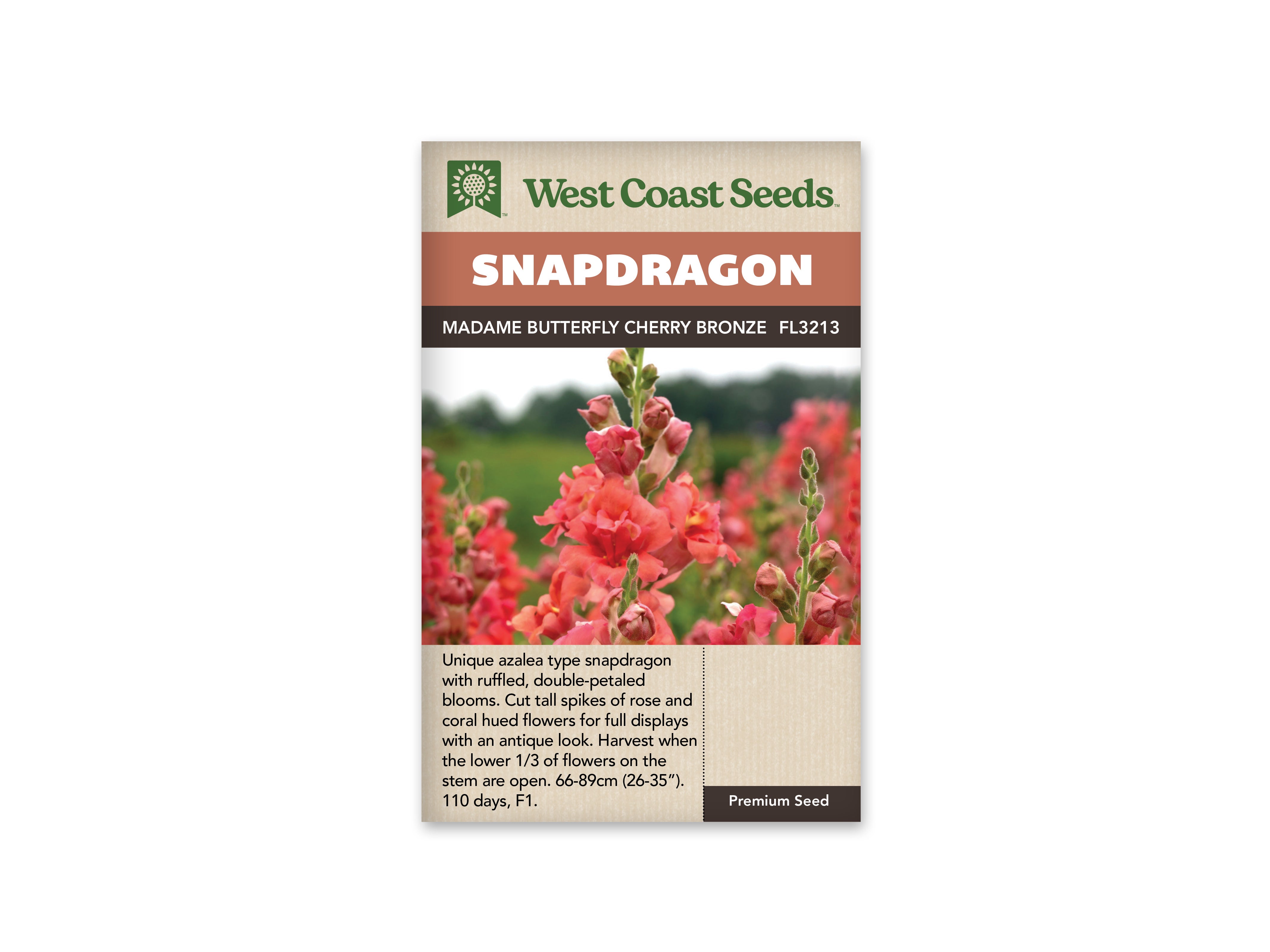 Snapdragon Madame Butterfly Cherry Bronze WCS Seeds – Garden Girl