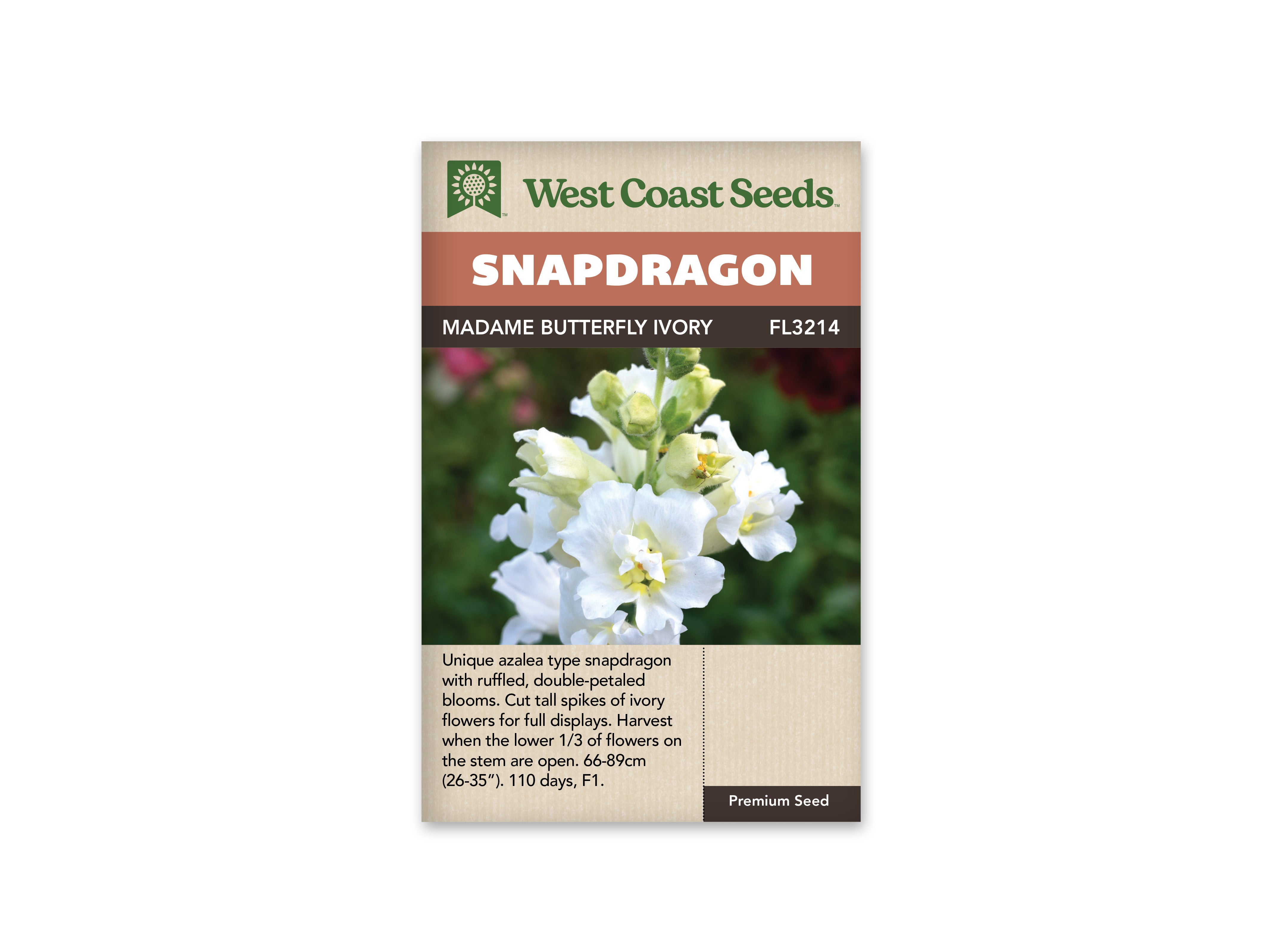 Snapdragon Madame Butterfly Ivory WCS Seeds – Garden Girl