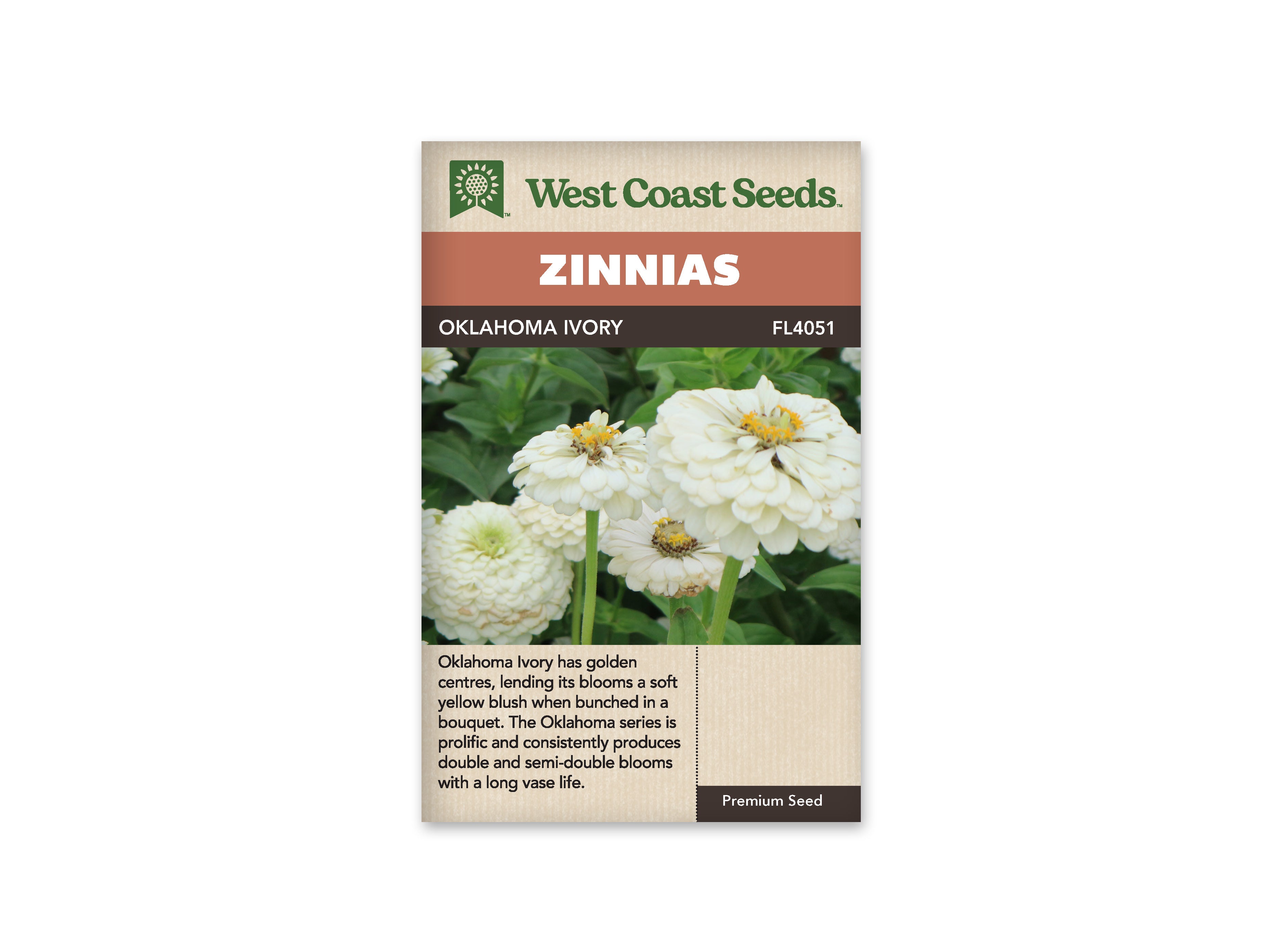 Zinnias Oklahoma Ivory WCS Seeds – Garden Girl