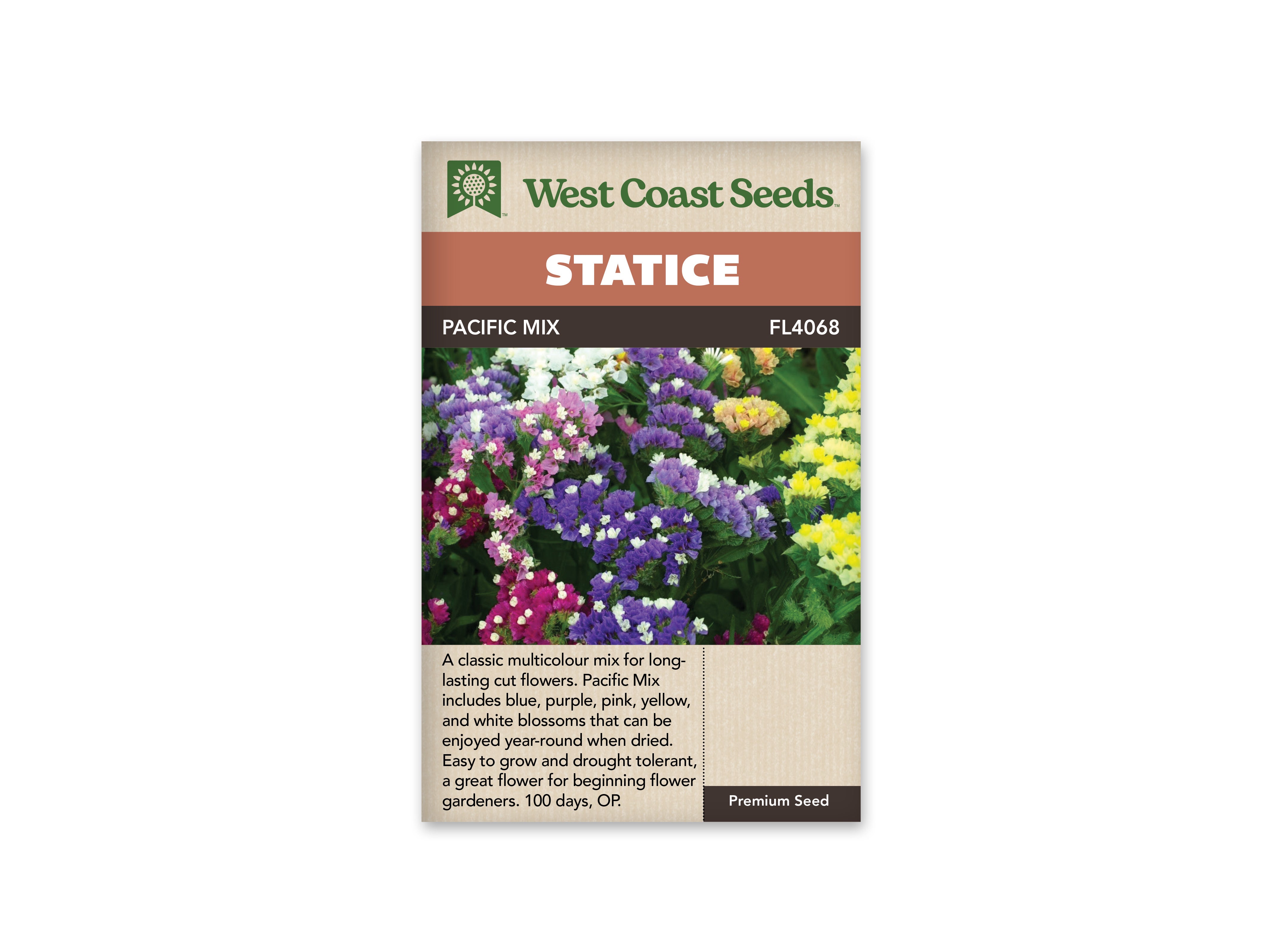 Statice Pacific Mix WCS Seeds – Garden Girl