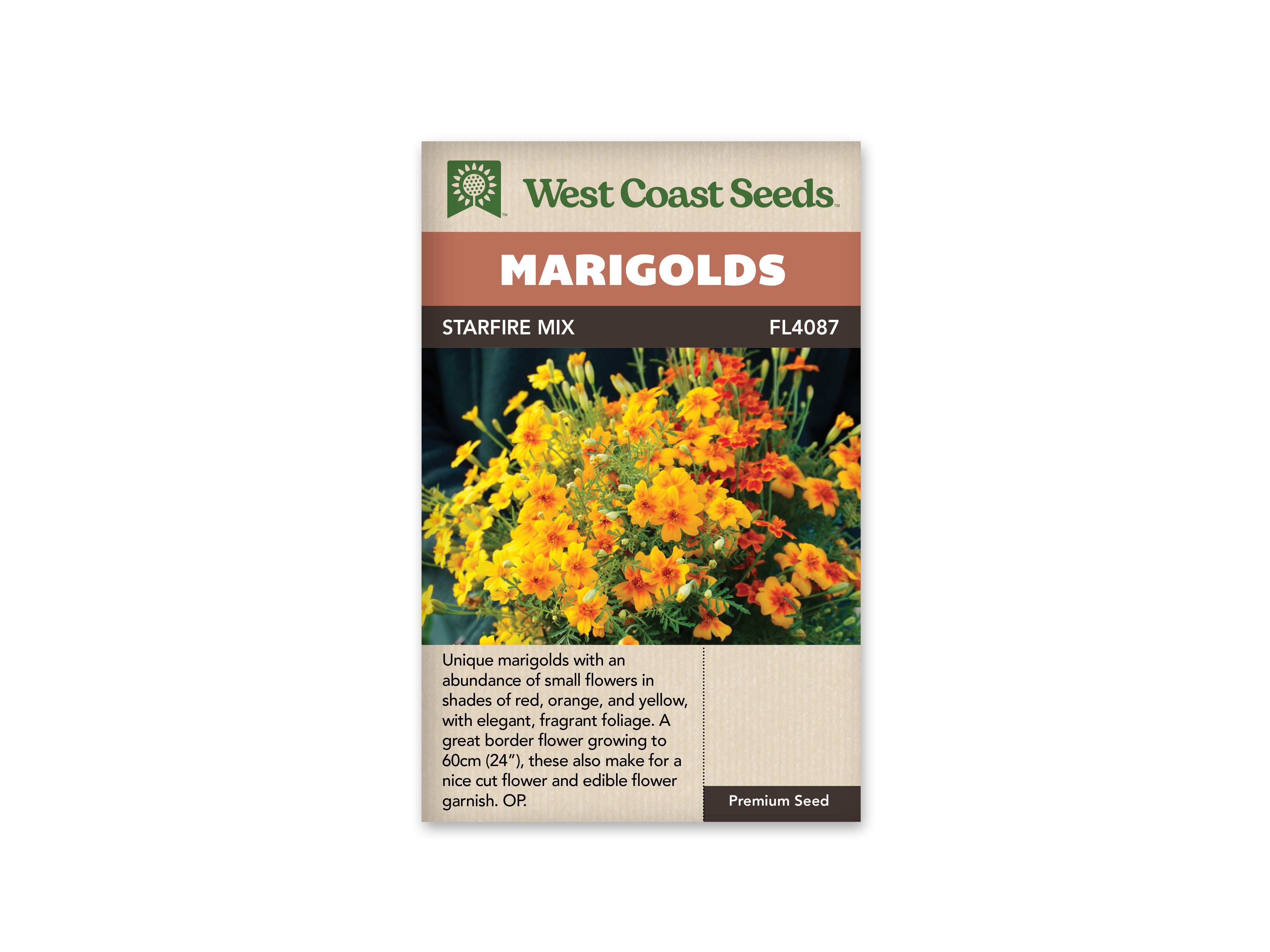 Marigold Starfire Mix WCS Seeds – Garden Girl