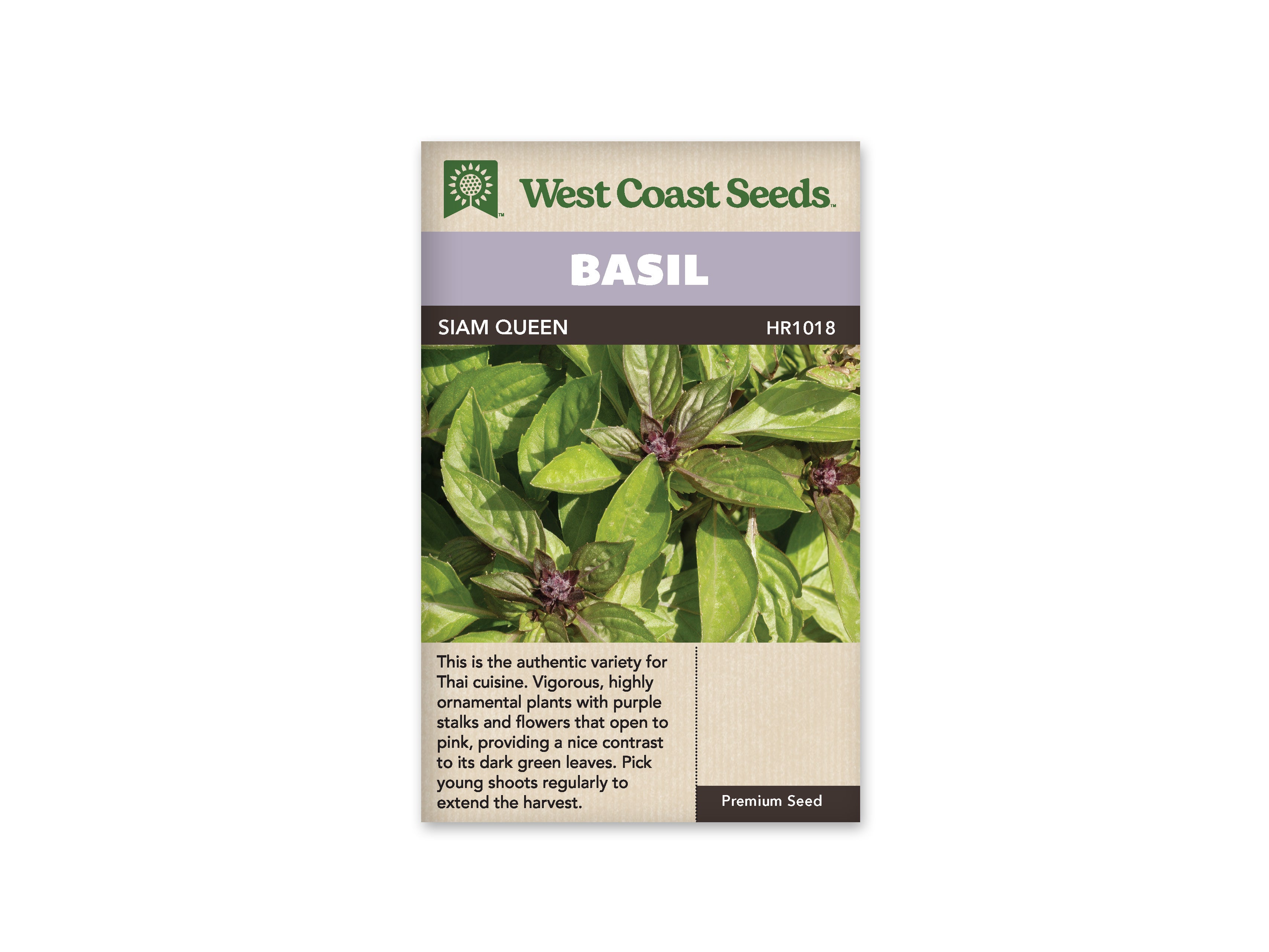 Basil Siam Queen WCS Seeds – Garden Girl