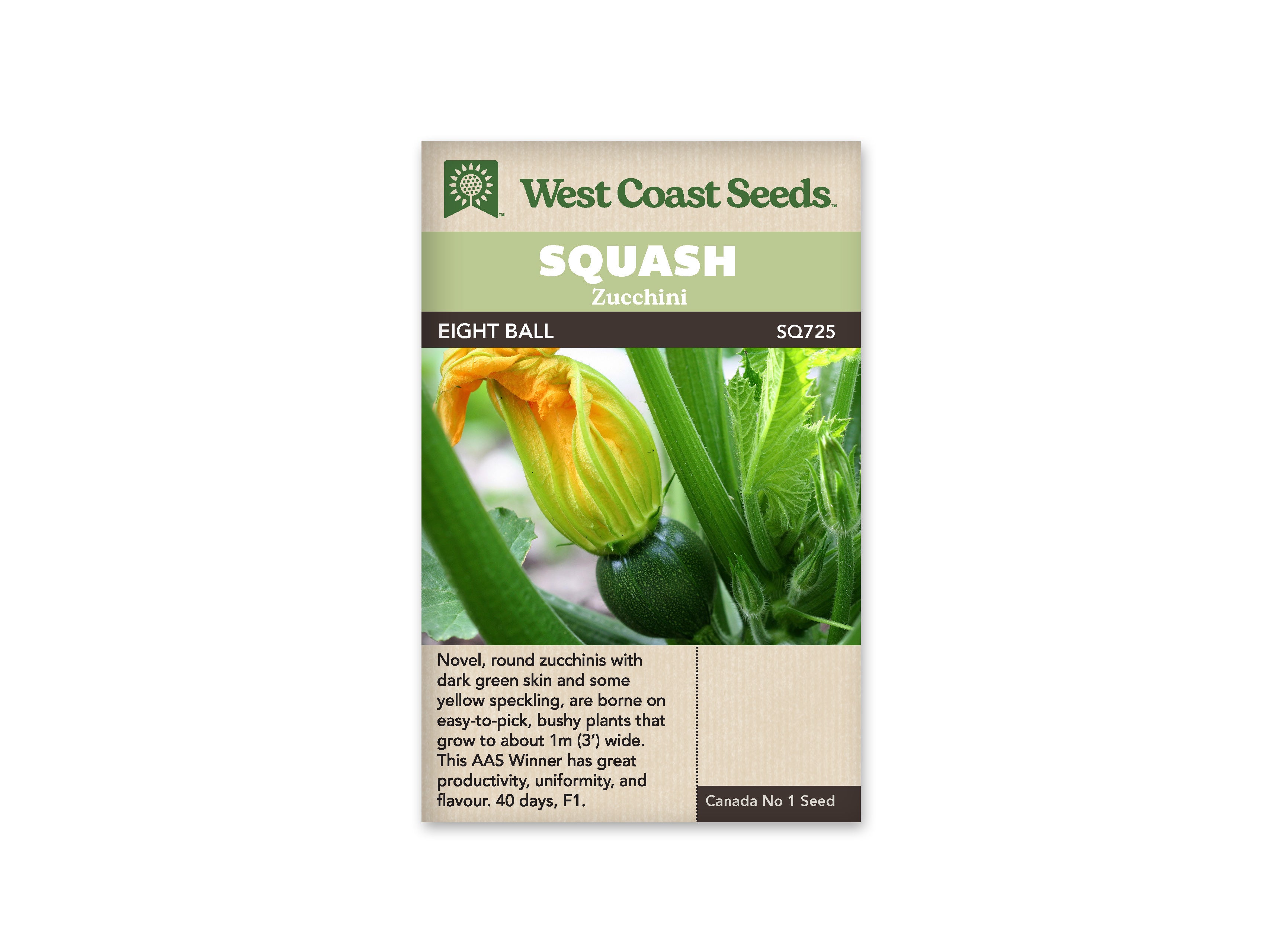 Squash Eight Ball WCS Seed – Garden Girl