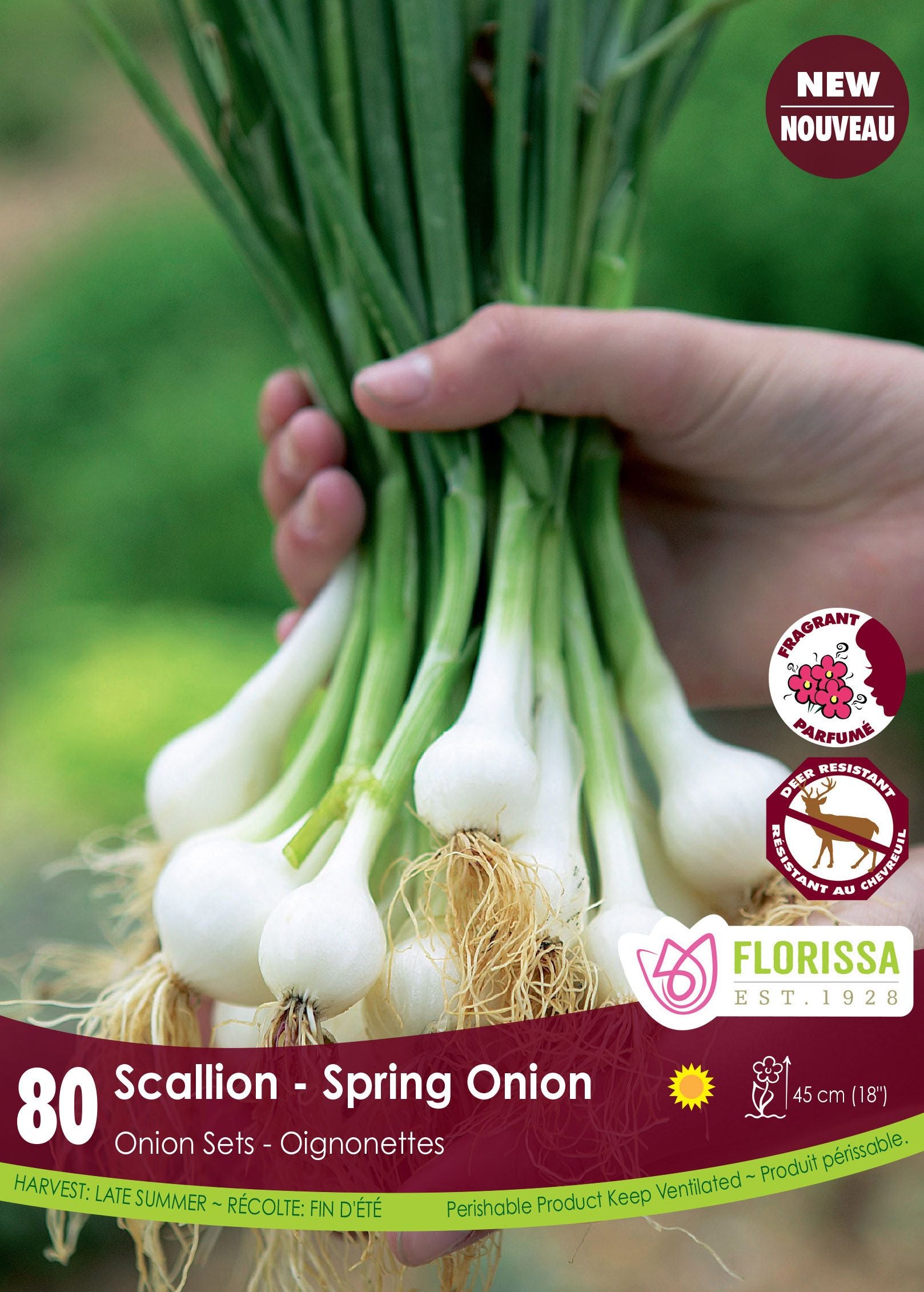 Onion Green Scallion Roots – Garden Girl